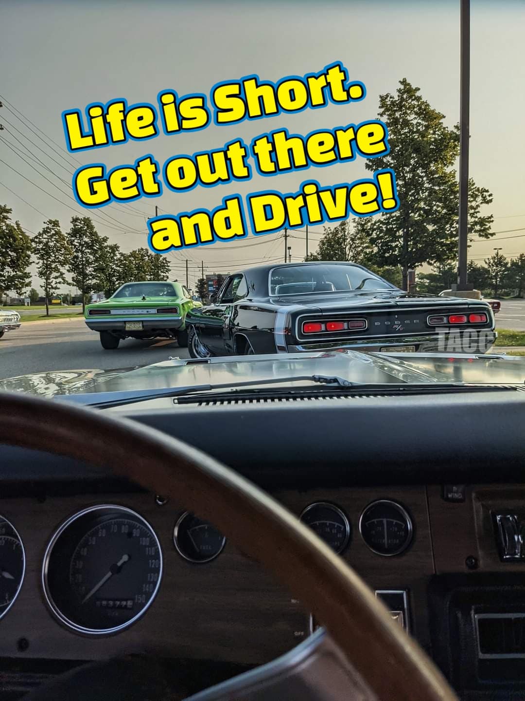 They were meant to be driven! - Twisted Axle Motorsports